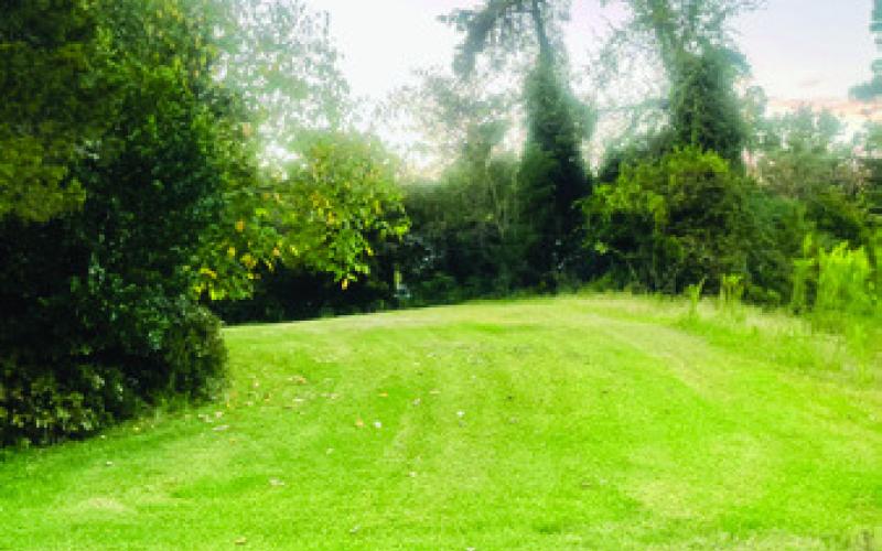 All hands on deck on Mound and Front Street | Catahoula News Booster